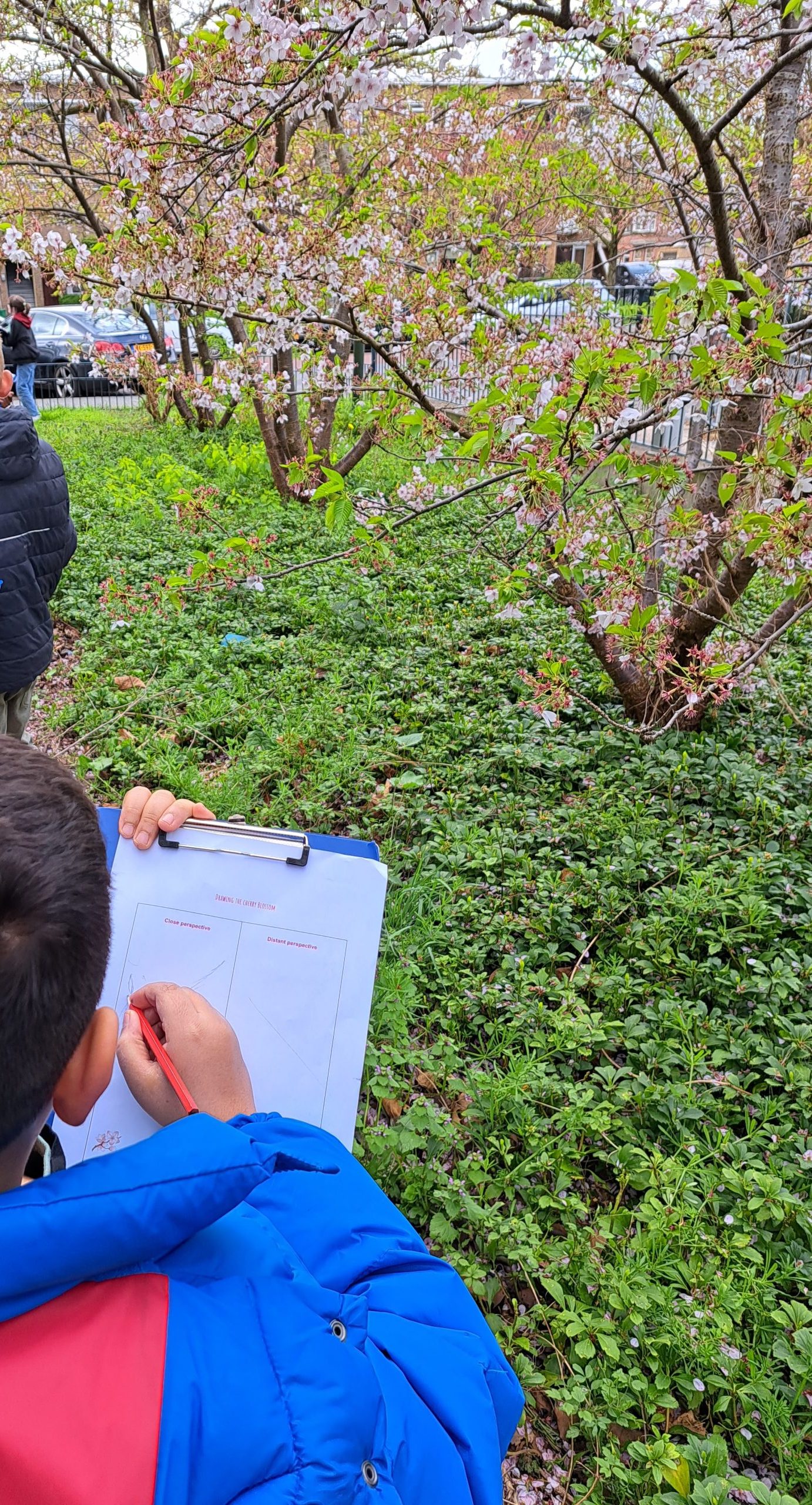 Linking Outdoor Learning to the Curriculum – Fresh Air Teacher