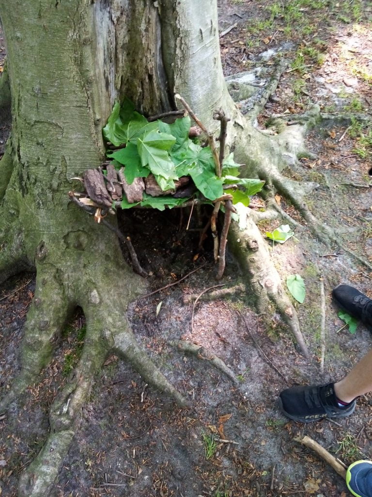 Fun Wildlife Themed Outdoor STEM Ideas – Fresh Air Teacher