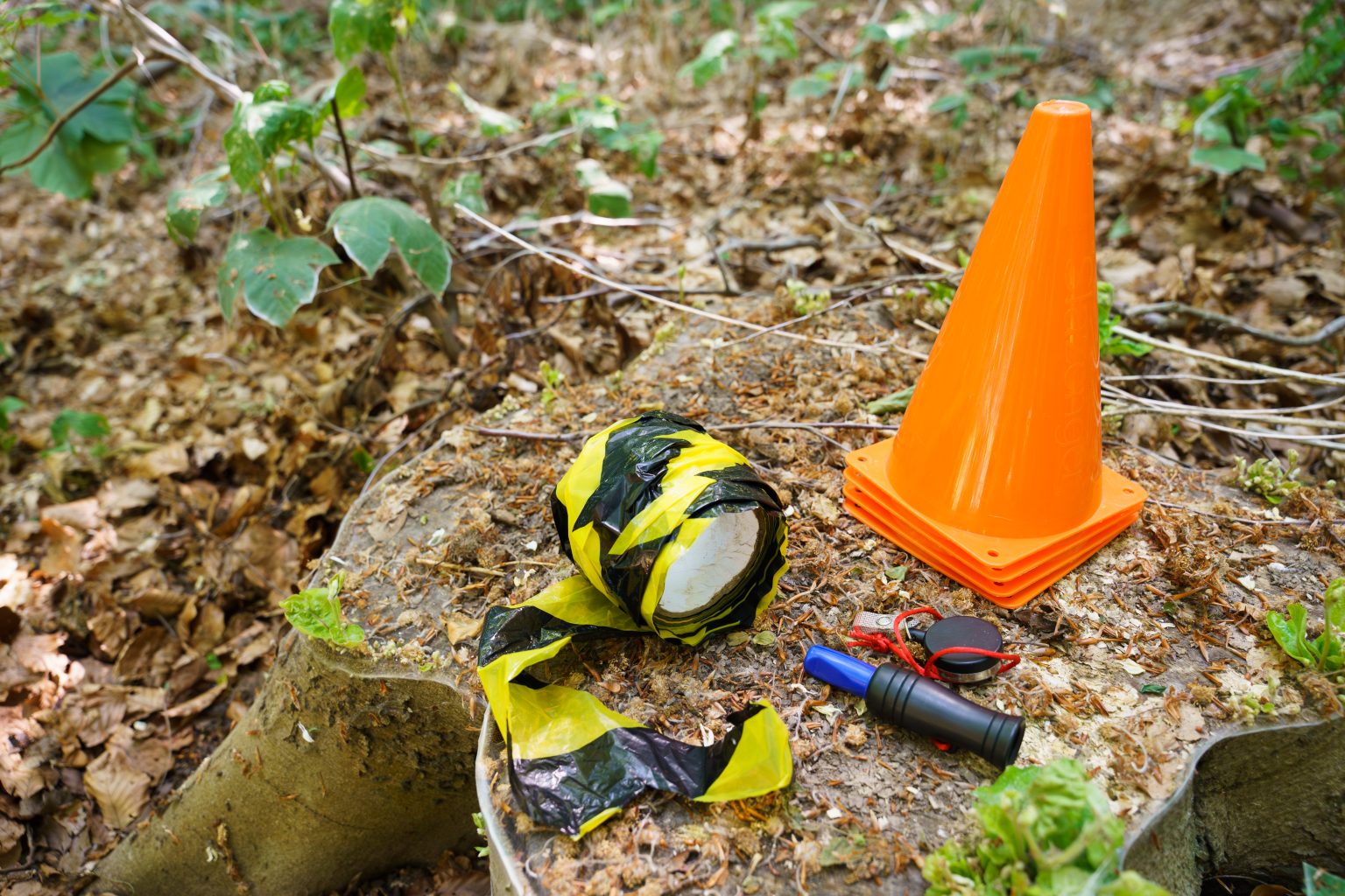 Creating Inclusive Outdoor Learning Experiences for Diverse Learners ...
