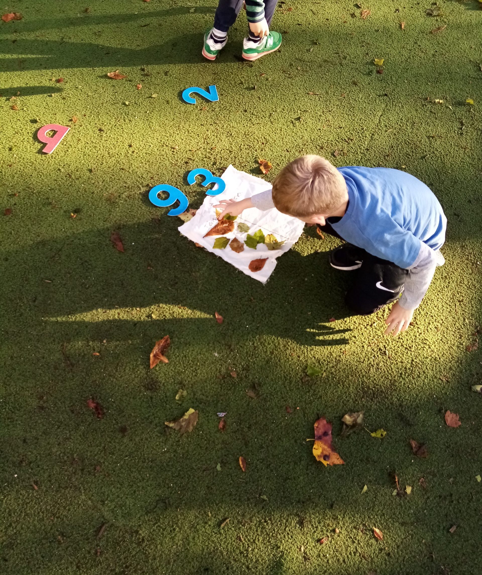 Linking Outdoor Learning to the Curriculum – Fresh Air Teacher