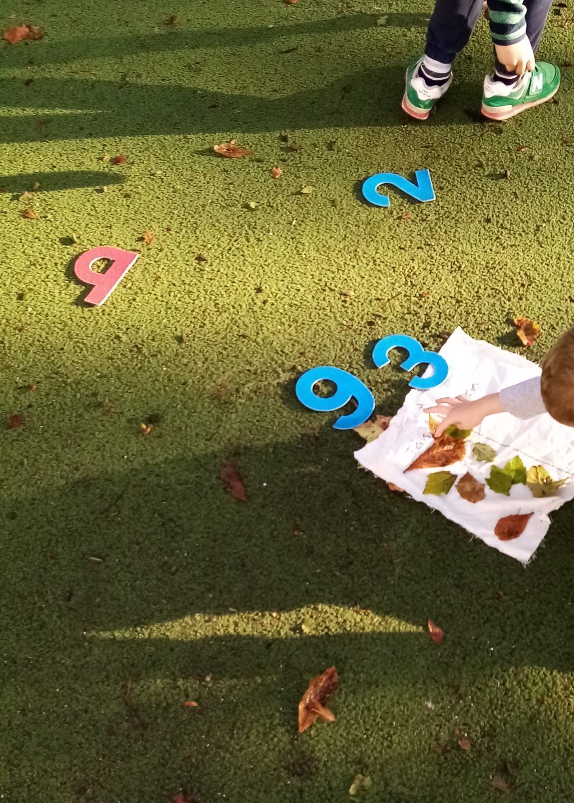 Linking Outdoor Learning to the Curriculum – Fresh Air Teacher