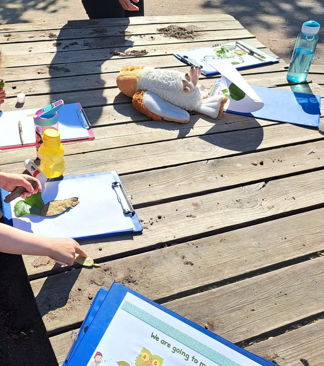 Using Local Environments For Outdoor Learning – Fresh Air Teacher