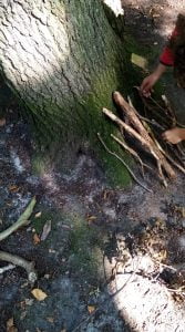 Developing the Wellbeing of Children Through Outdoor Learning – Fresh ...
