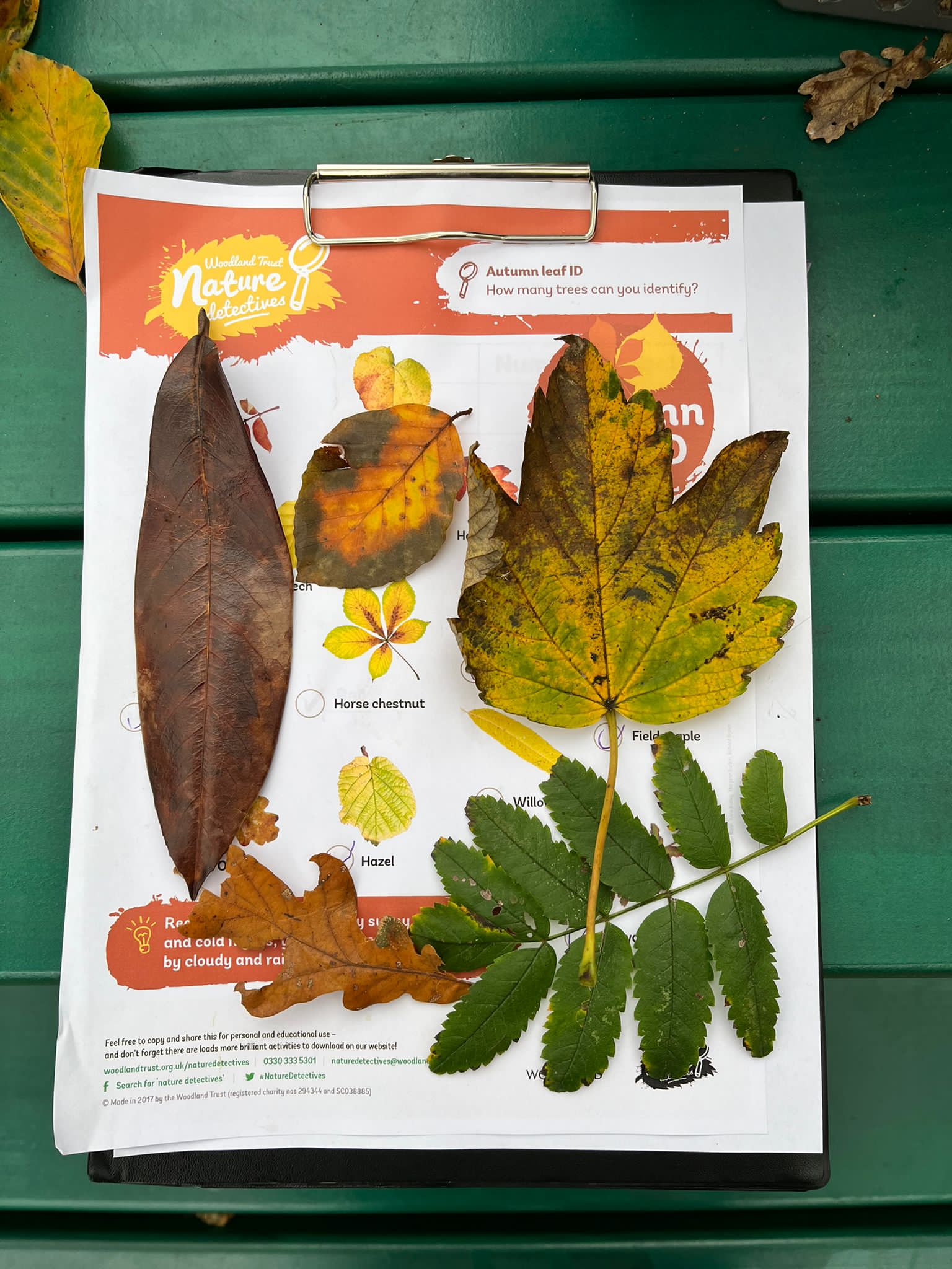 What Is Outdoor Learning? – Fresh Air Teacher