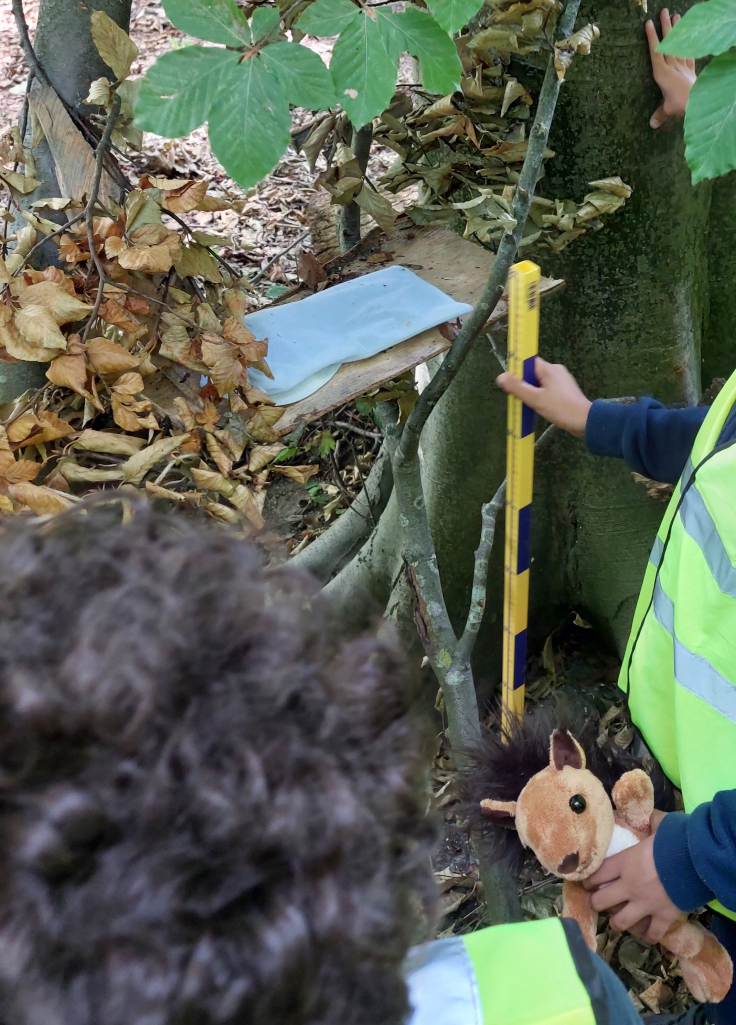 Fun Wildlife Themed Outdoor STEM Ideas – Fresh Air Teacher