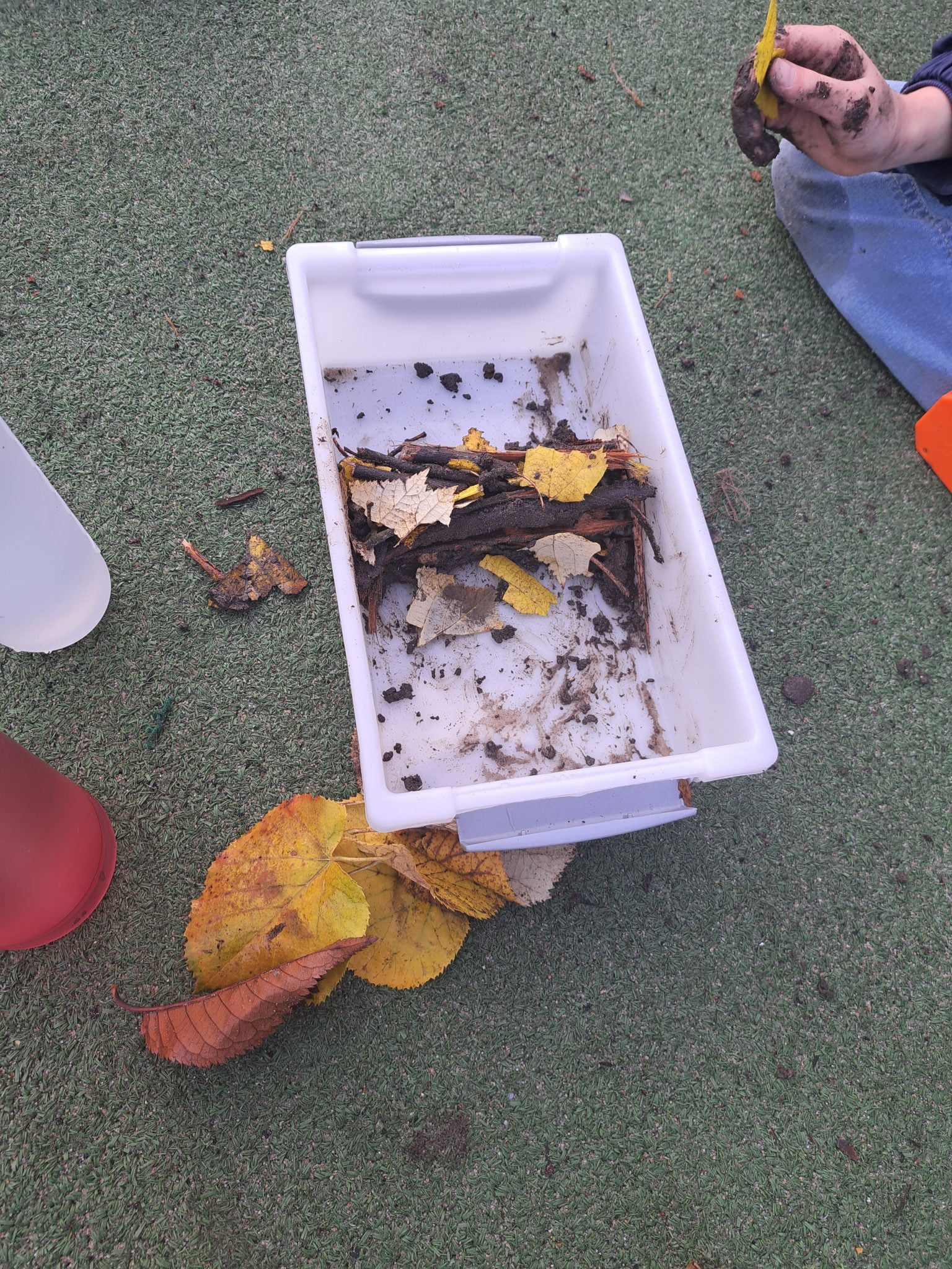 Fun Wildlife Themed Outdoor STEM Ideas – Fresh Air Teacher