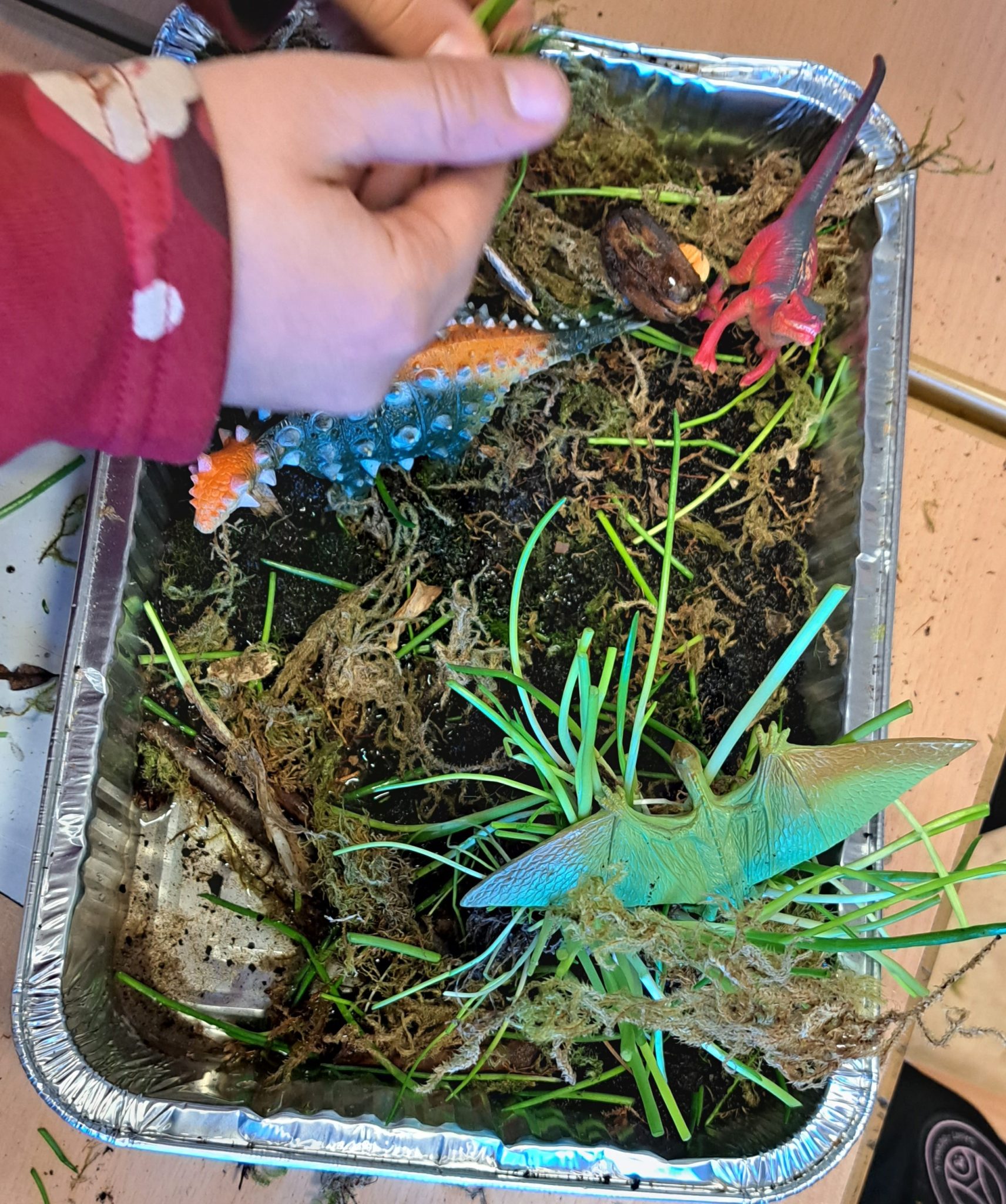 Simple and Fun Science Taught Outdoors – Fresh Air Teacher