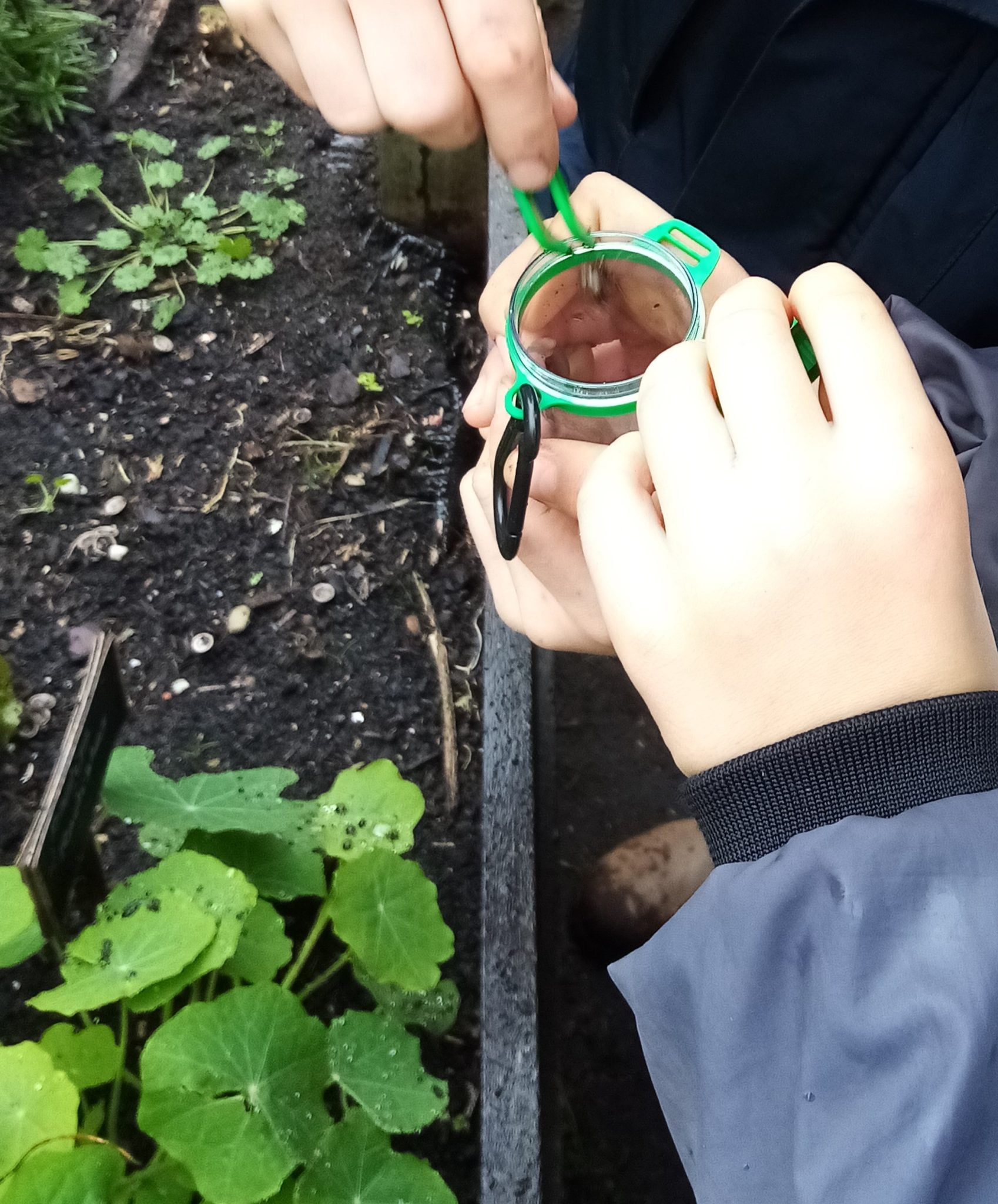 Simple and Fun Science Taught Outdoors – Fresh Air Teacher