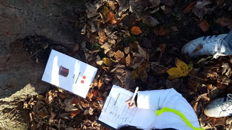 Discovering Math in Nature Through Patterns, Shapes, Natural Materials ...