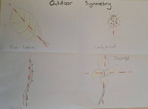 Discovering Math in Nature Through Patterns, Shapes, Natural Materials ...