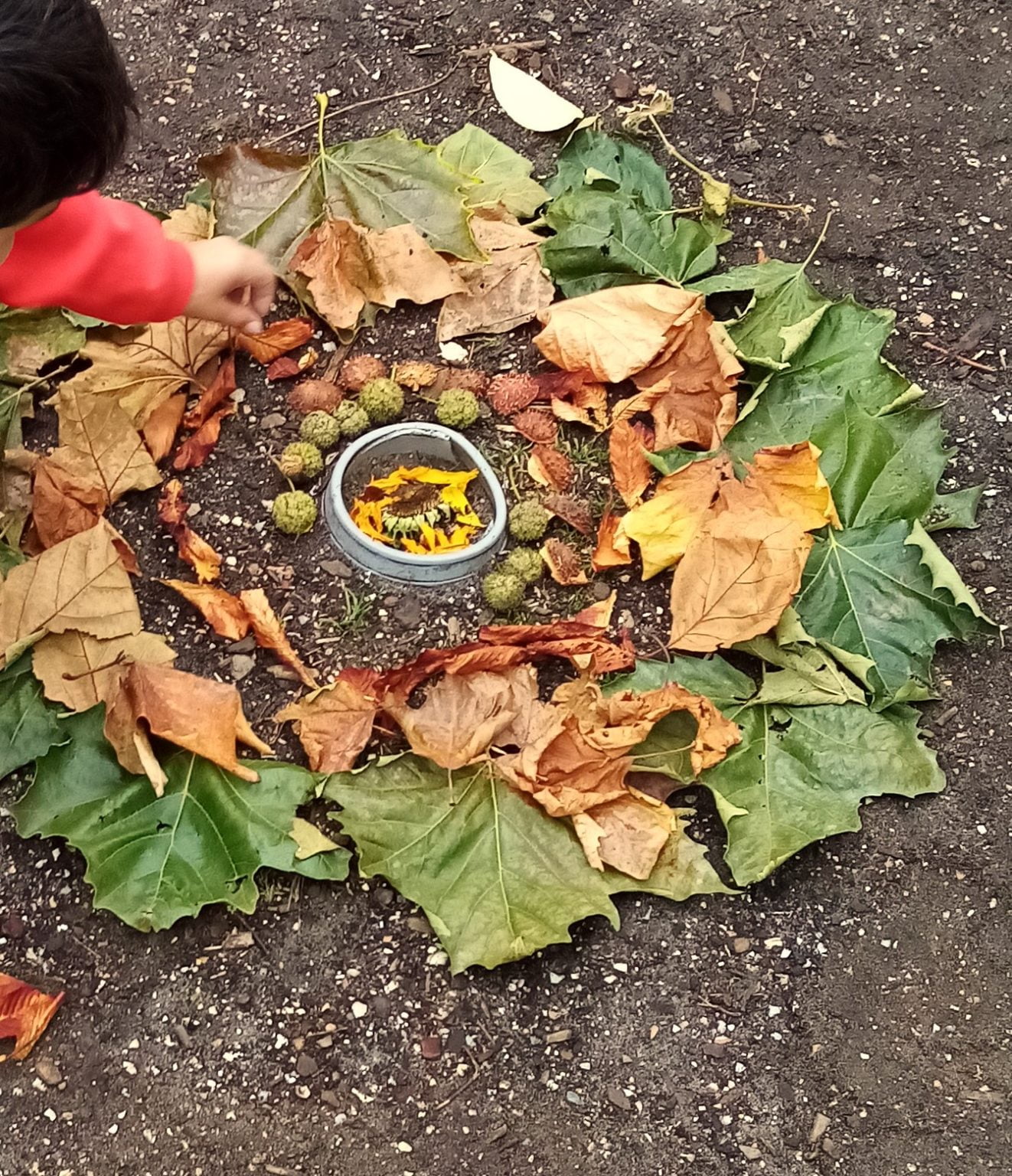 Creative Nature Art Projects Using Earth’s Gifts – Fresh Air Teacher