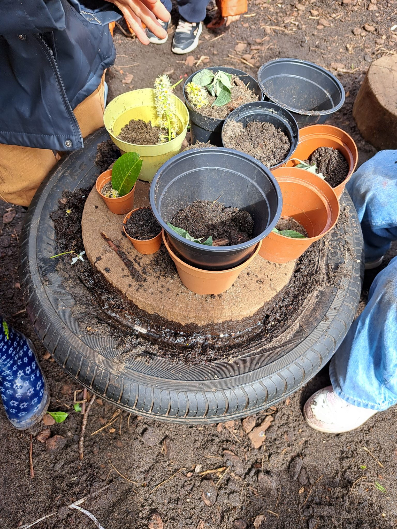 The Early Years Outdoors – Fresh Air Teacher